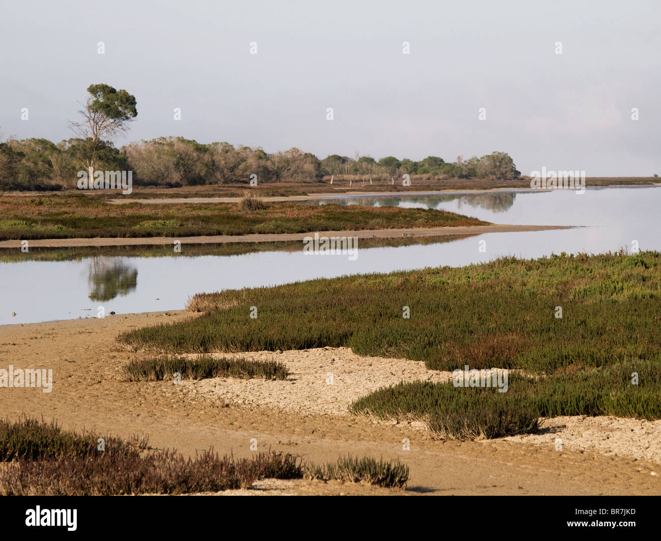 Loch sport victoria hi-res stock photography and images - Alamy