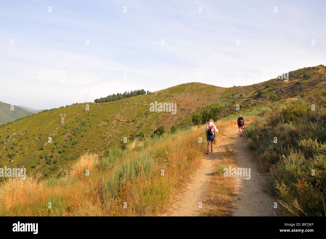 Pilgrims walking along Camino de Santiago Stock Photo - Alamy