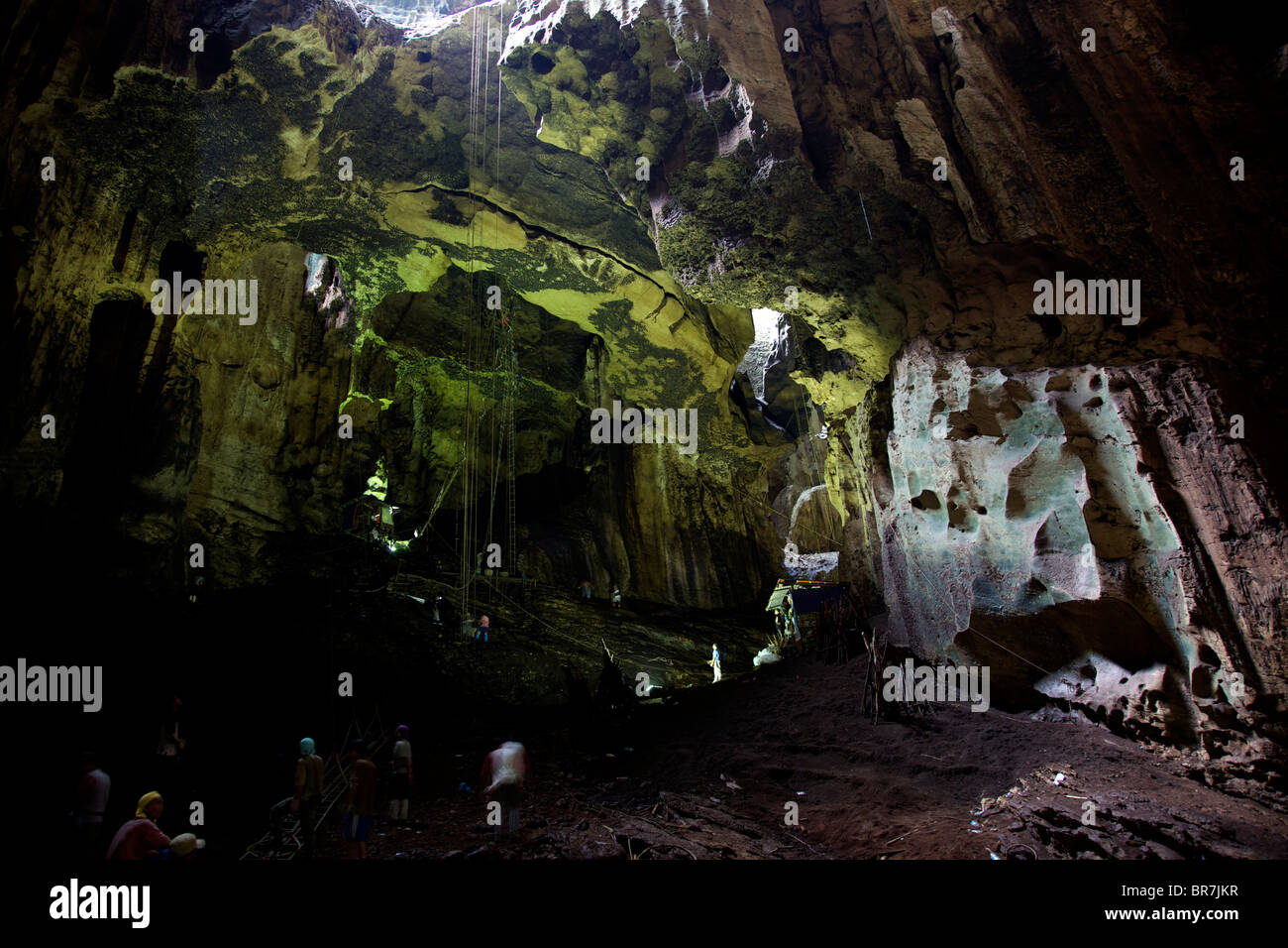 Gomantong caves bat hi-res stock photography and images - Alamy