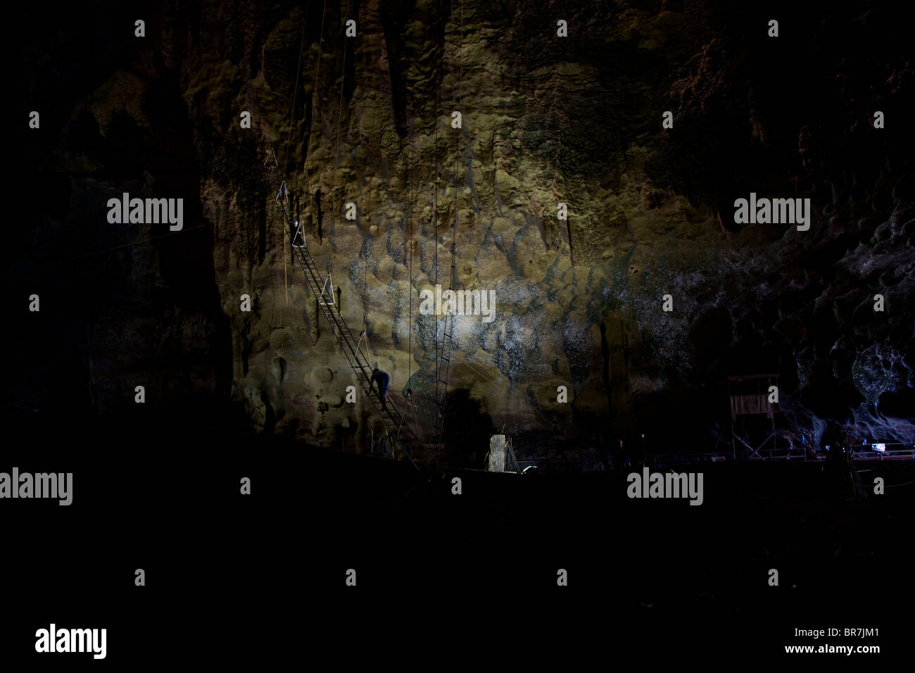 Underground insects hi-res stock photography and images - Alamy