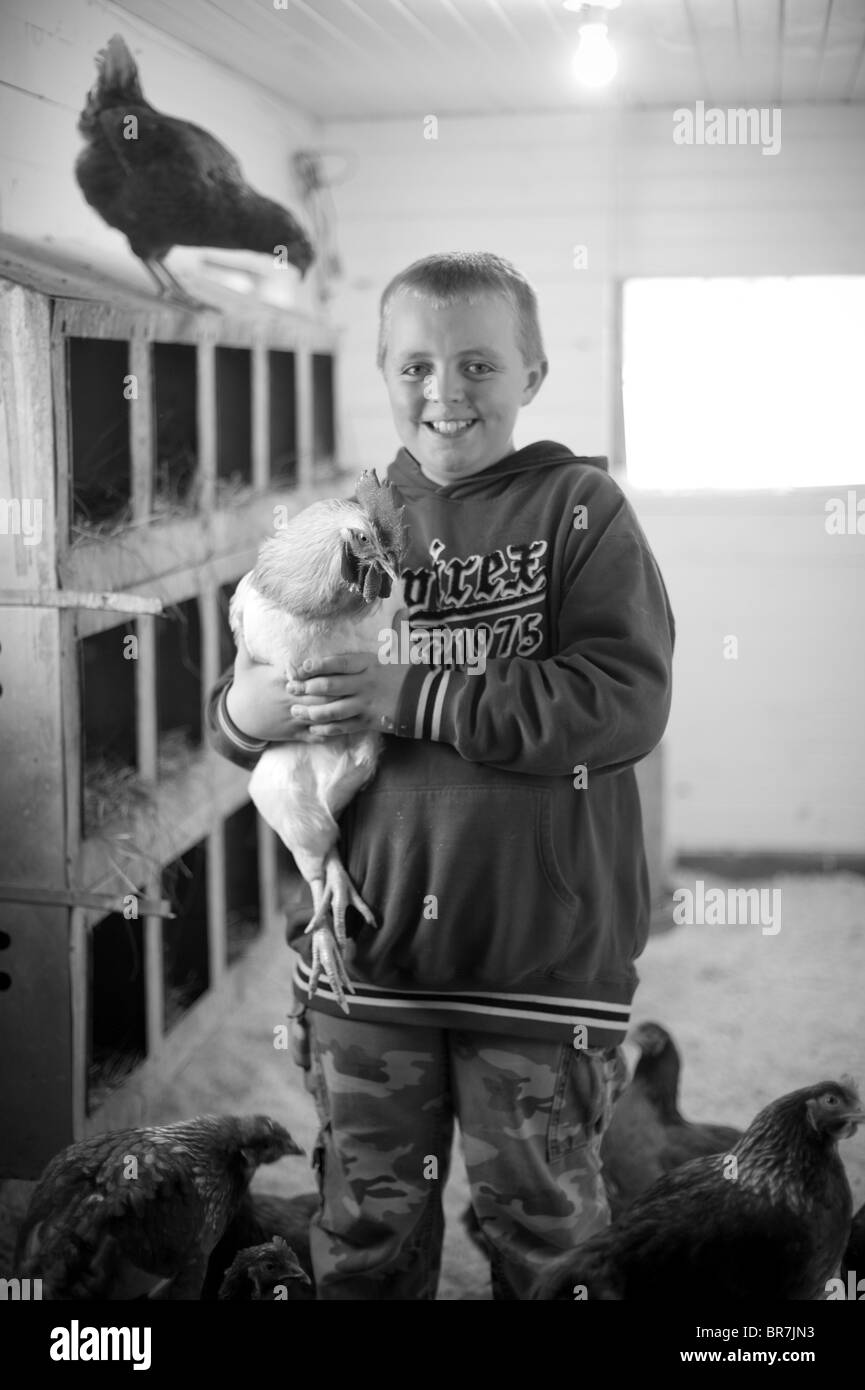 Boy with rooster in Maine Stock Photo - Alamy