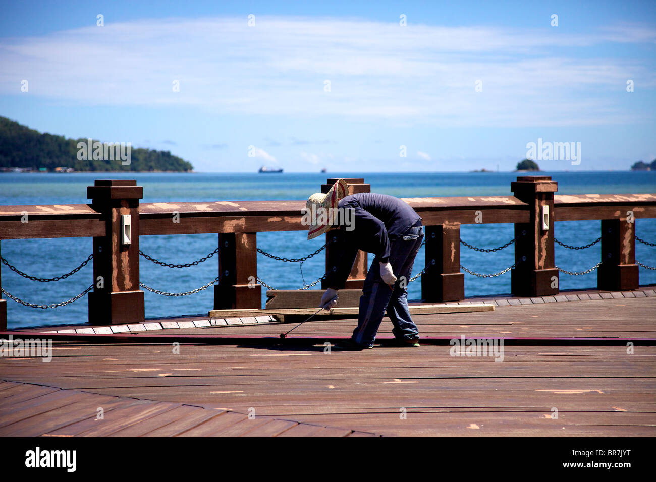 Harbour insects hi-res stock photography and images - Alamy
