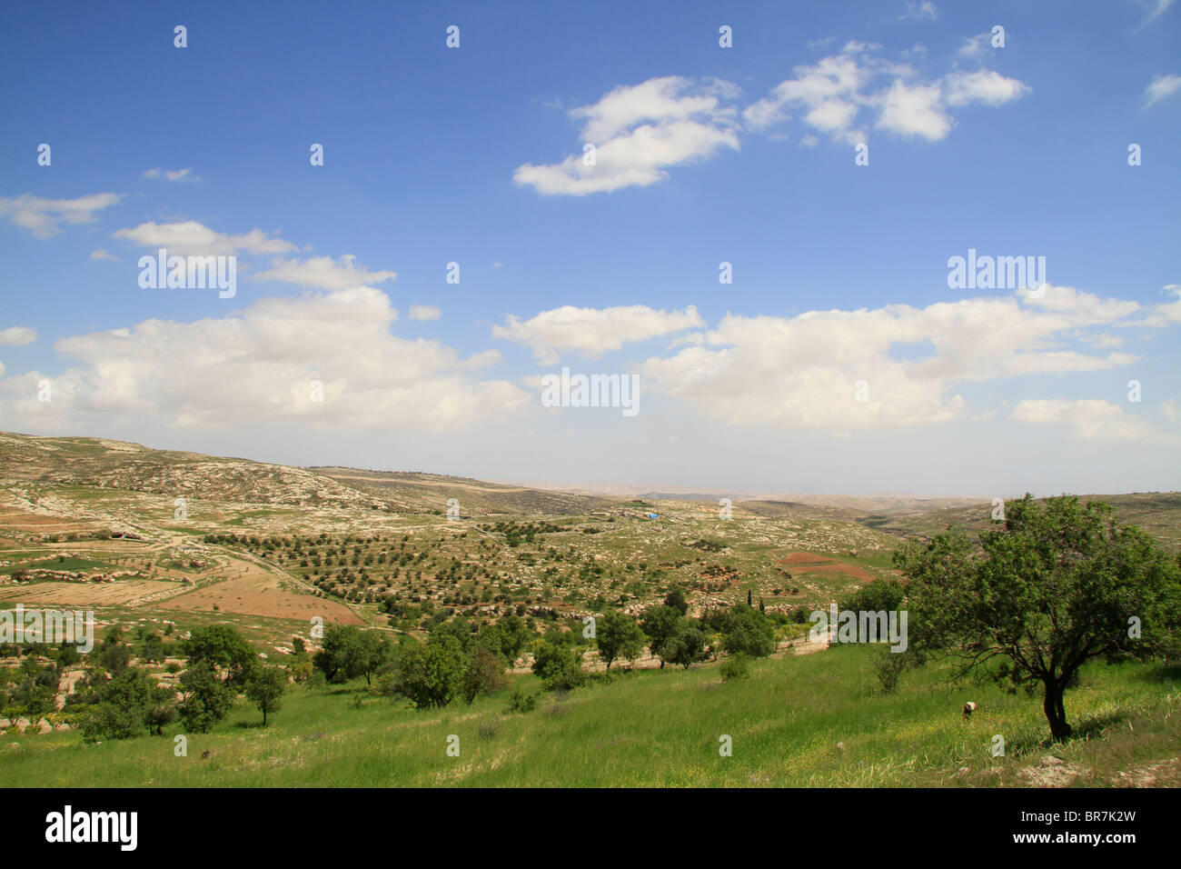 Ziph hi-res stock photography and images - Alamy