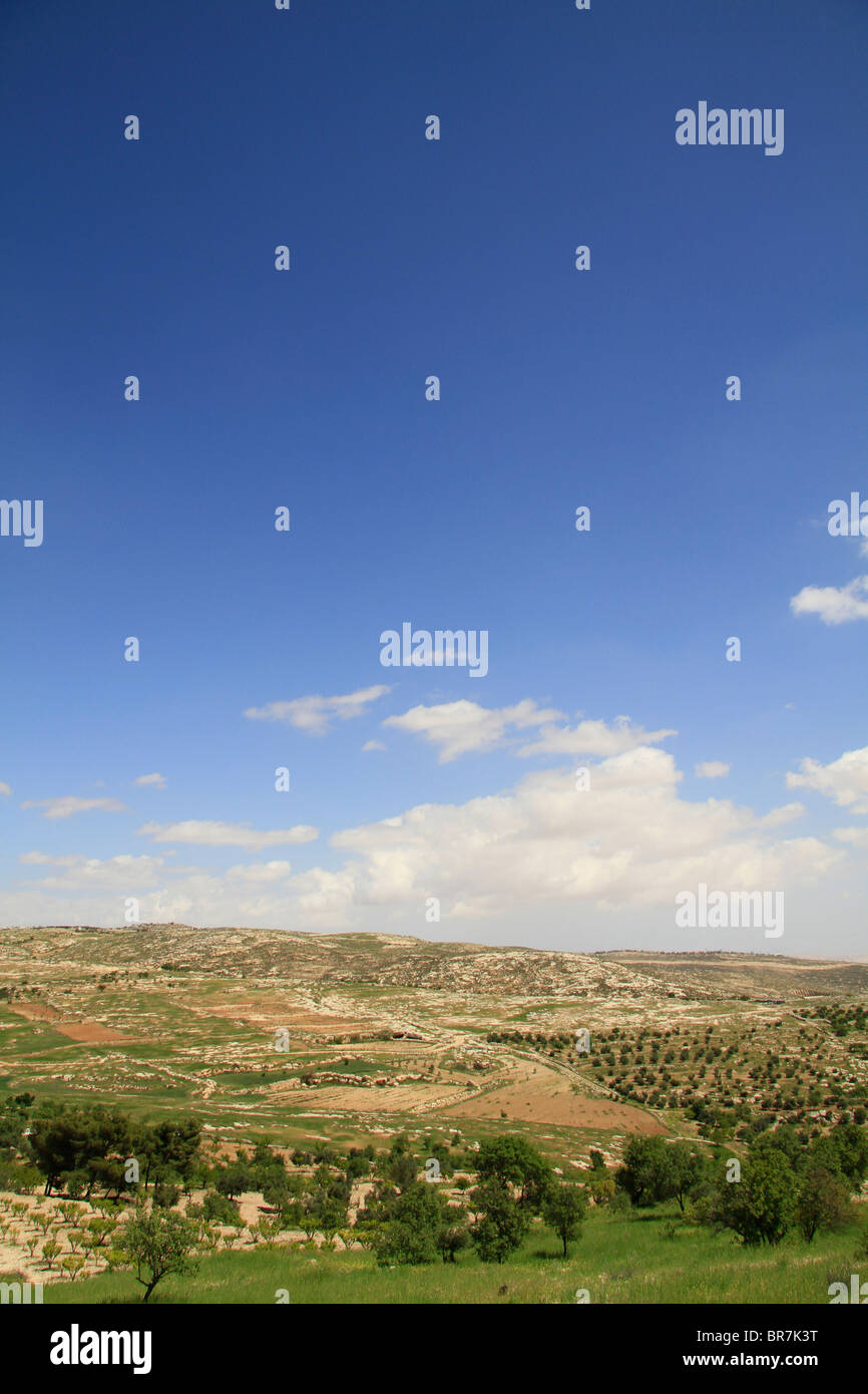 Ziph hi-res stock photography and images - Alamy