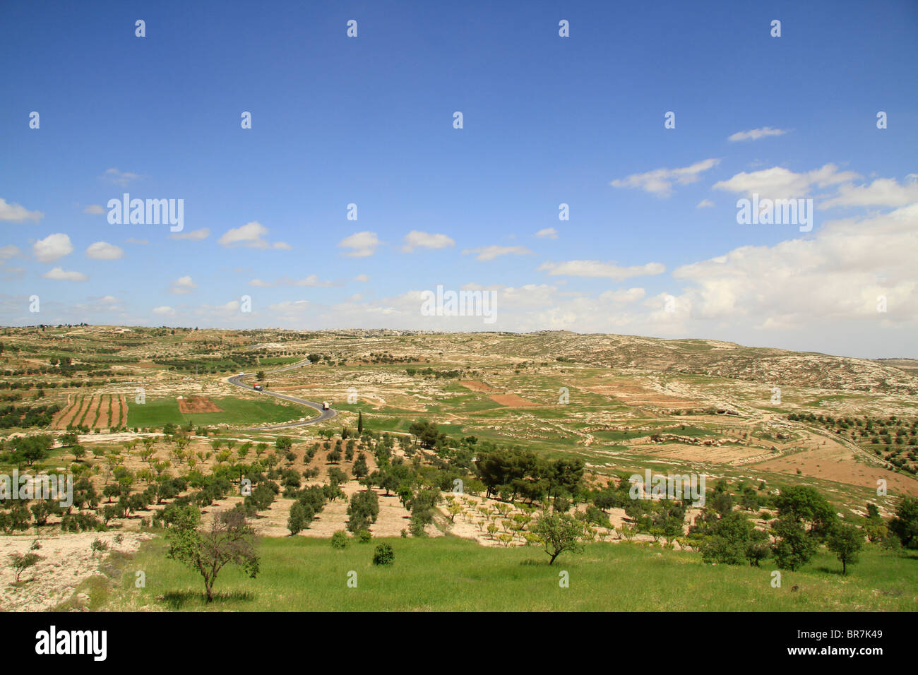 Ziph hi-res stock photography and images - Alamy