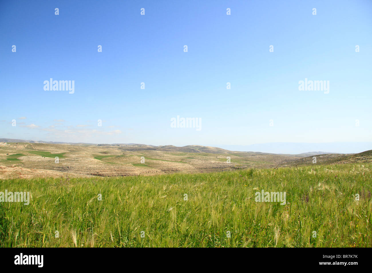 Gibeah hi-res stock photography and images - Alamy