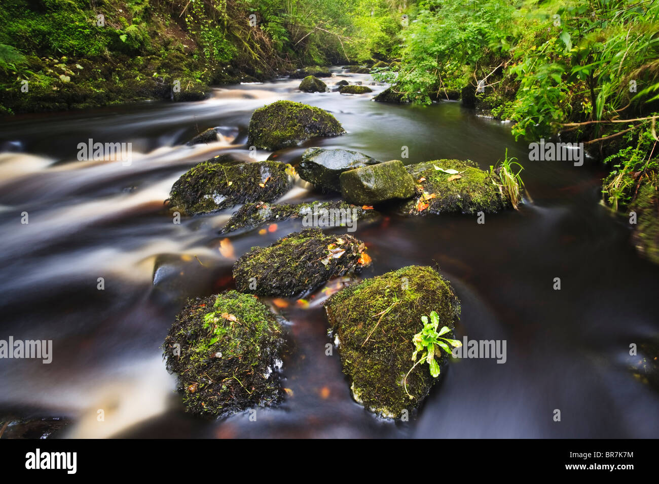 Waterfoot hi-res stock photography and images - Alamy