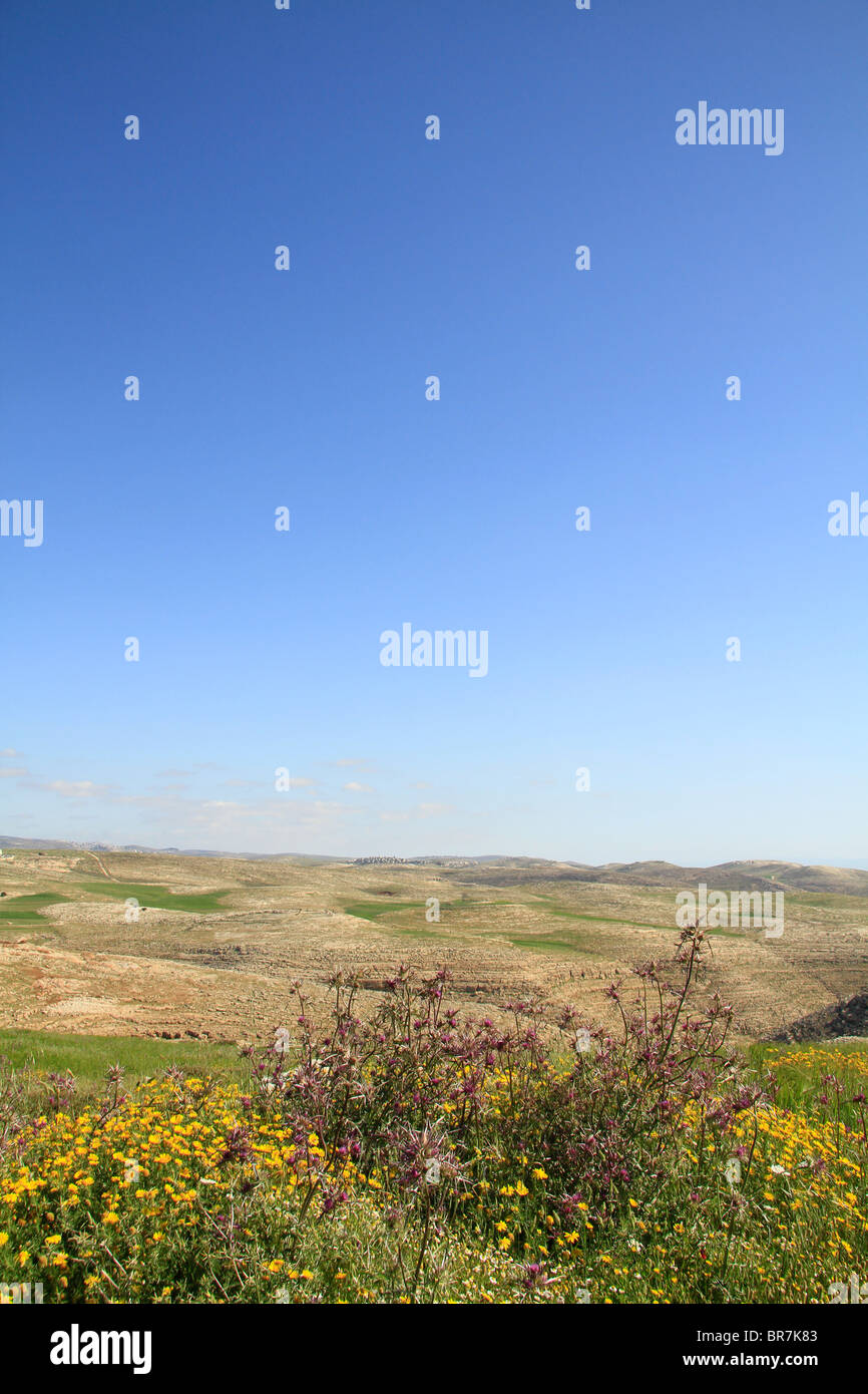 Ful hi-res stock photography and images - Alamy