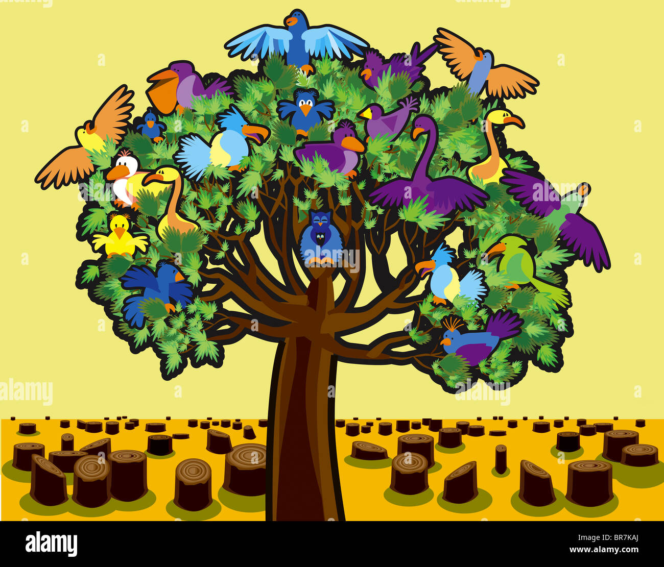 Sad birds hi-res stock photography and images - Alamy