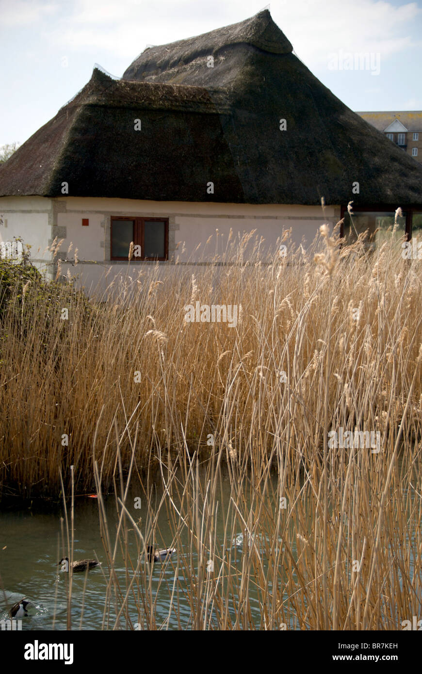 Radipole Lake Weymouth Dorset UK Stock Photo - Alamy