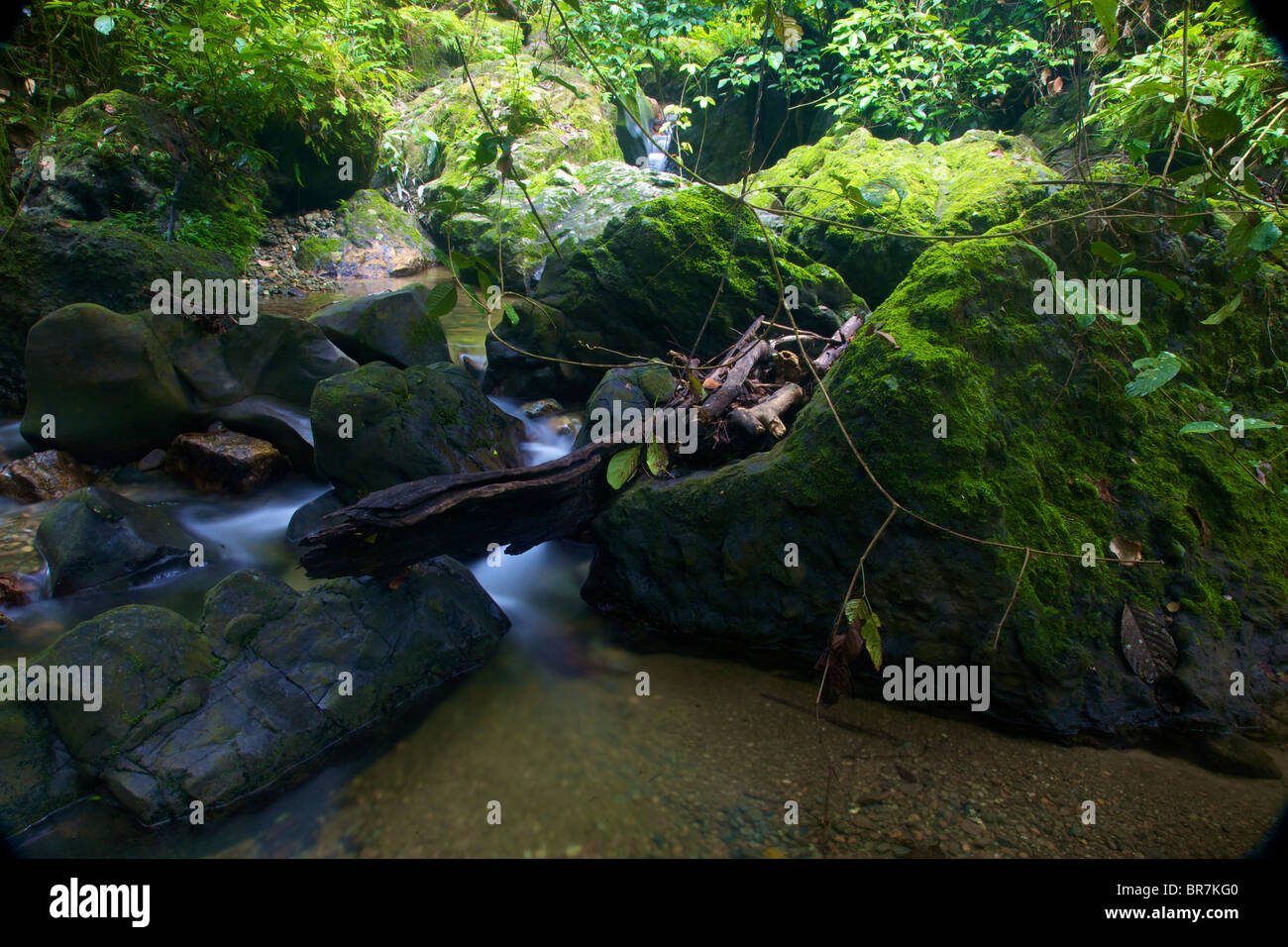 Borneo forest waterfall hi-res stock photography and images - Alamy