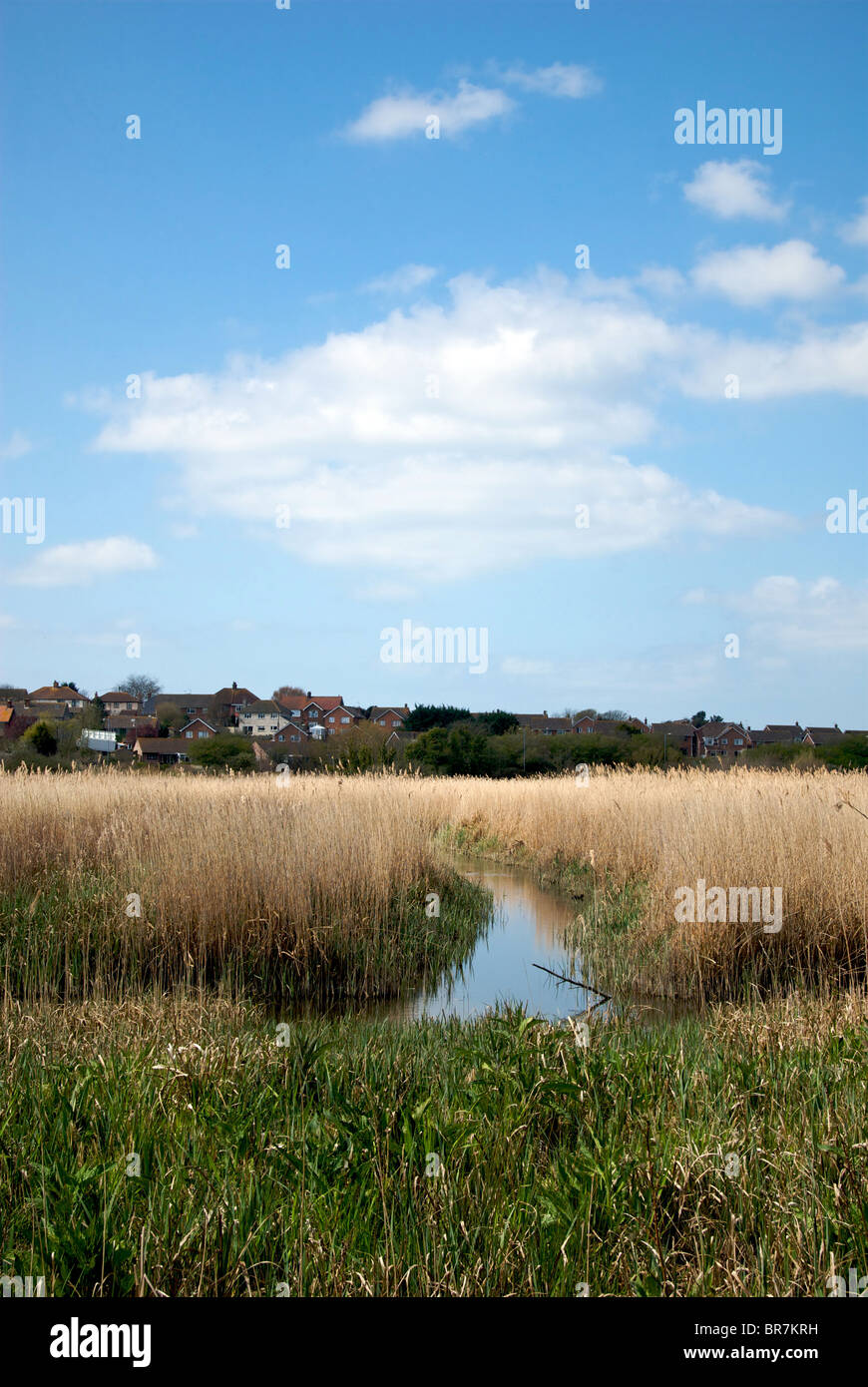 Radipole Lake Weymouth Dorset UK Stock Photo - Alamy
