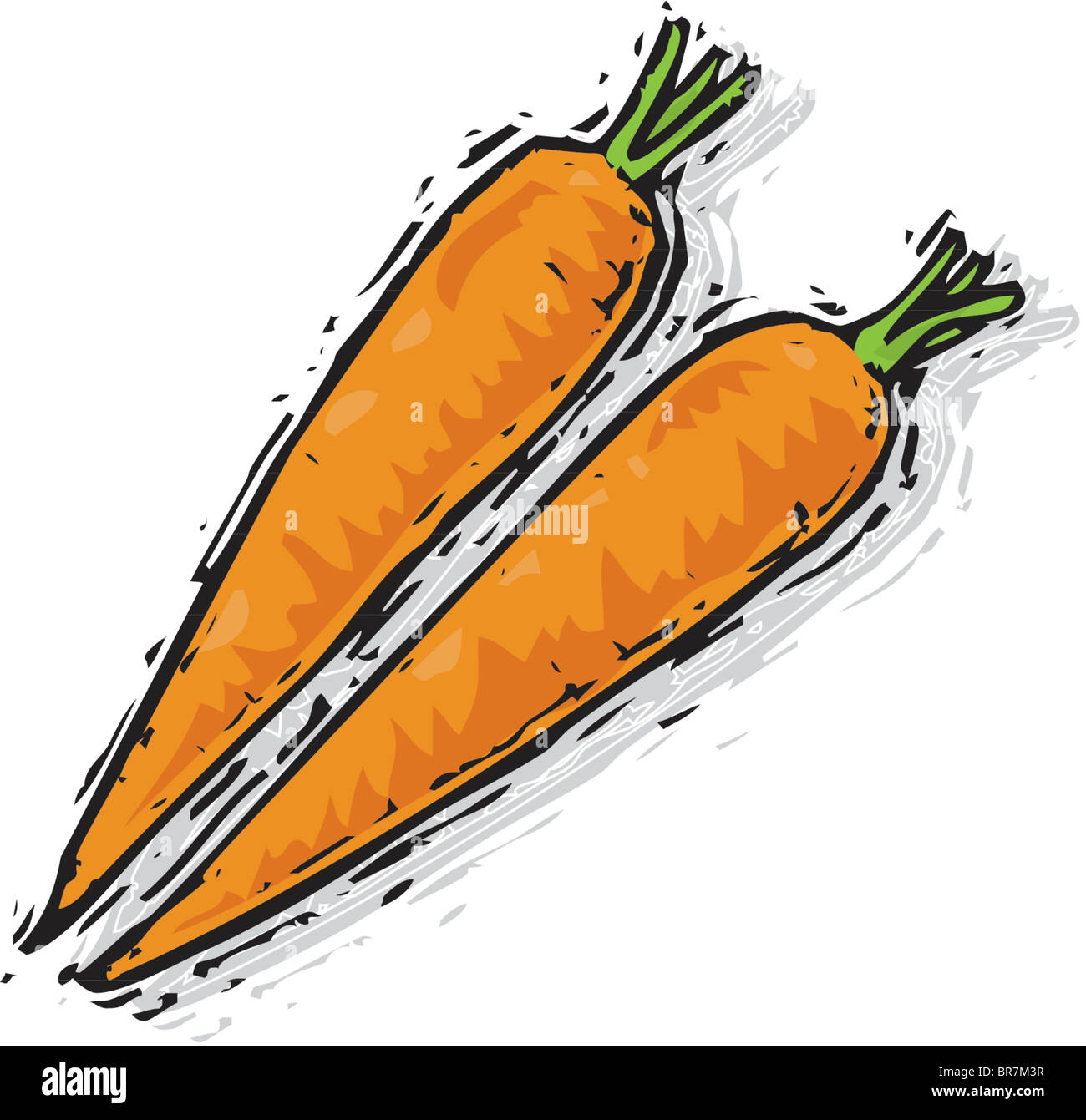 Drawing two carrots High Resolution Stock Photography and Images - Alamy