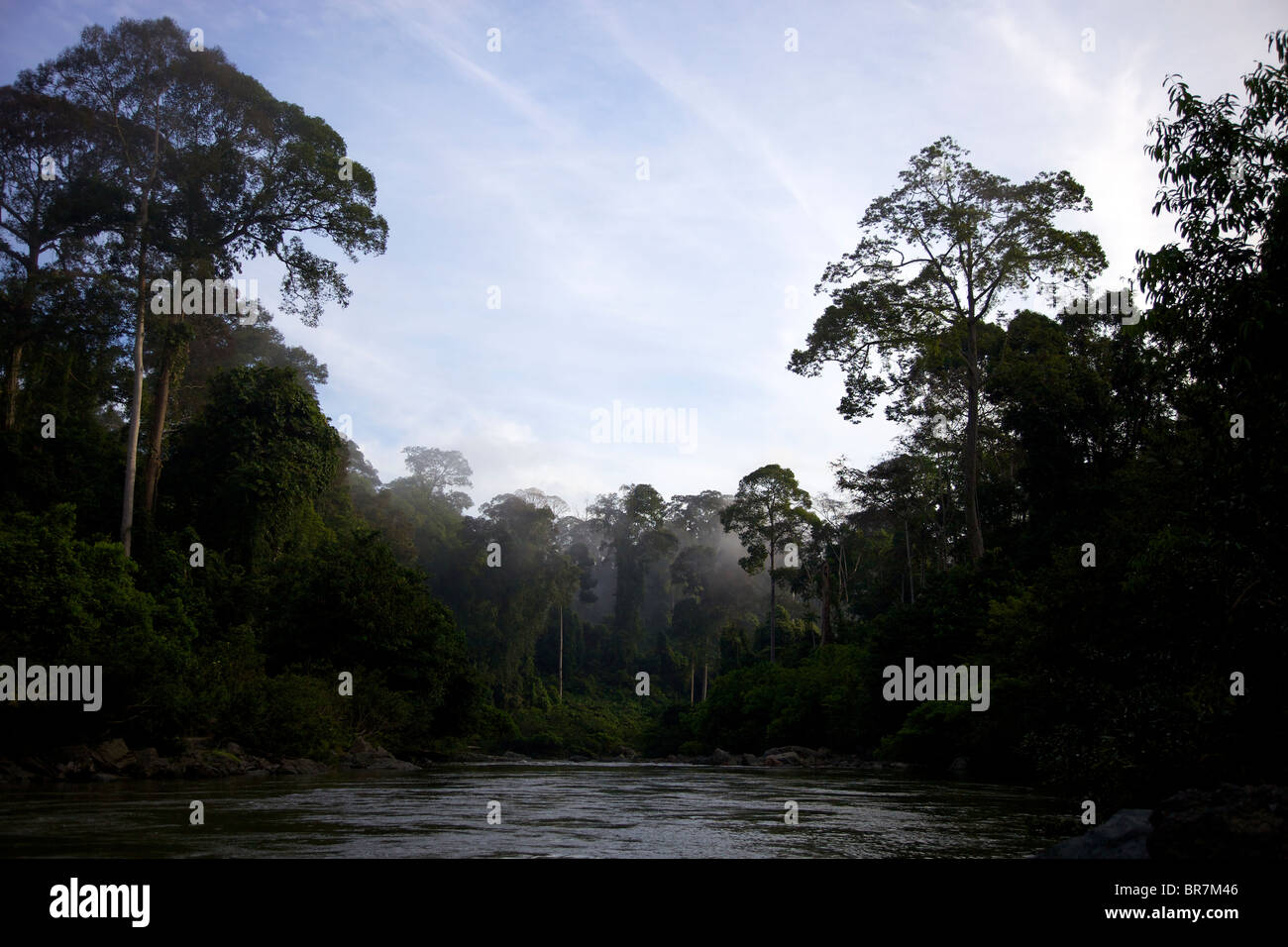 Malaysia borneo jungle hi-res stock photography and images - Alamy