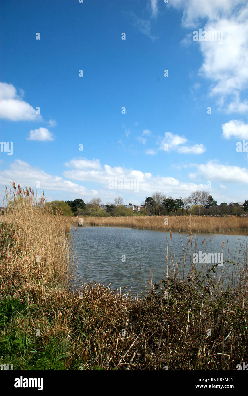 Radipole Lake Weymouth Dorset UK Stock Photo - Alamy