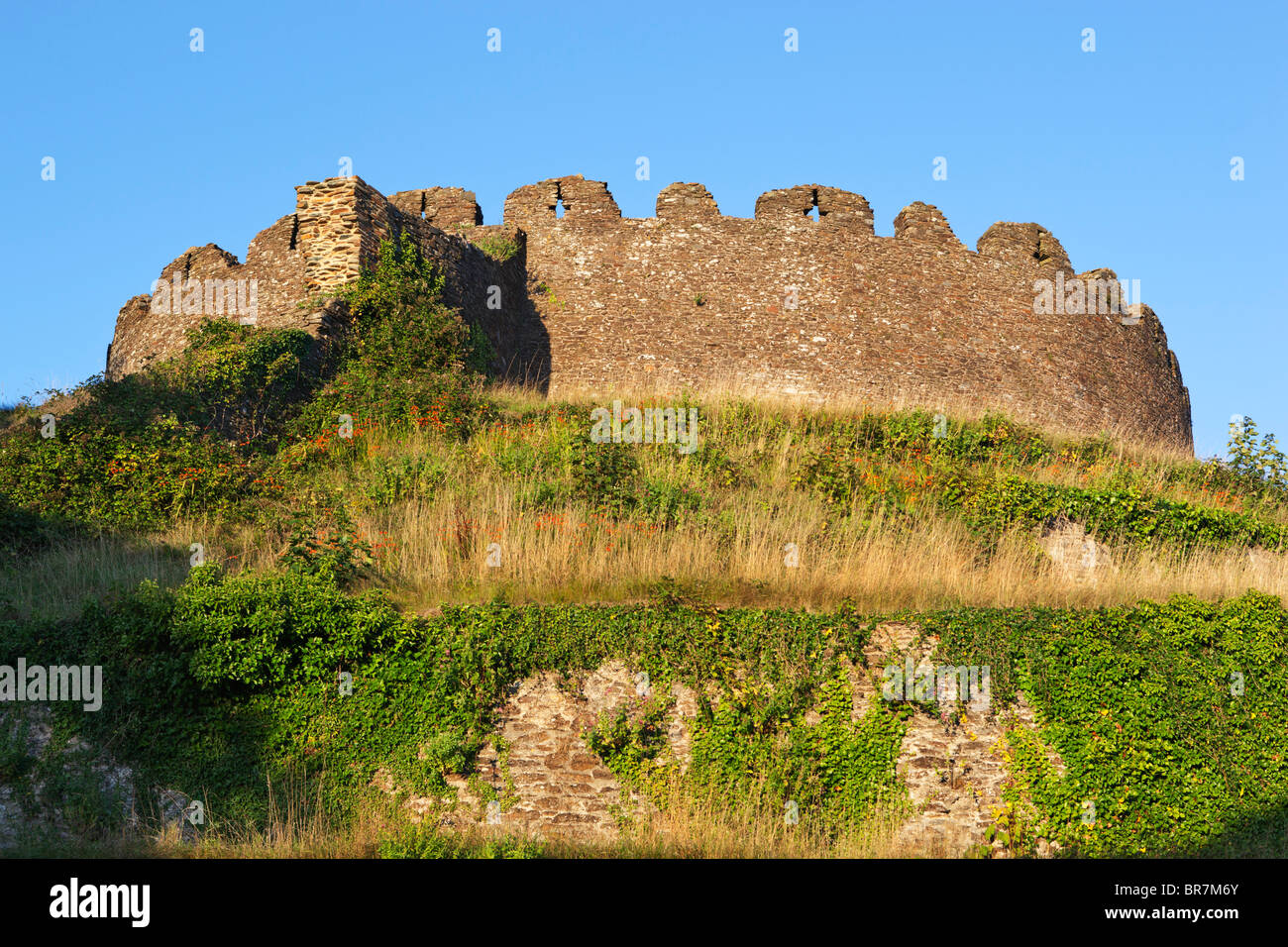 Totnes castle hi-res stock photography and images - Alamy