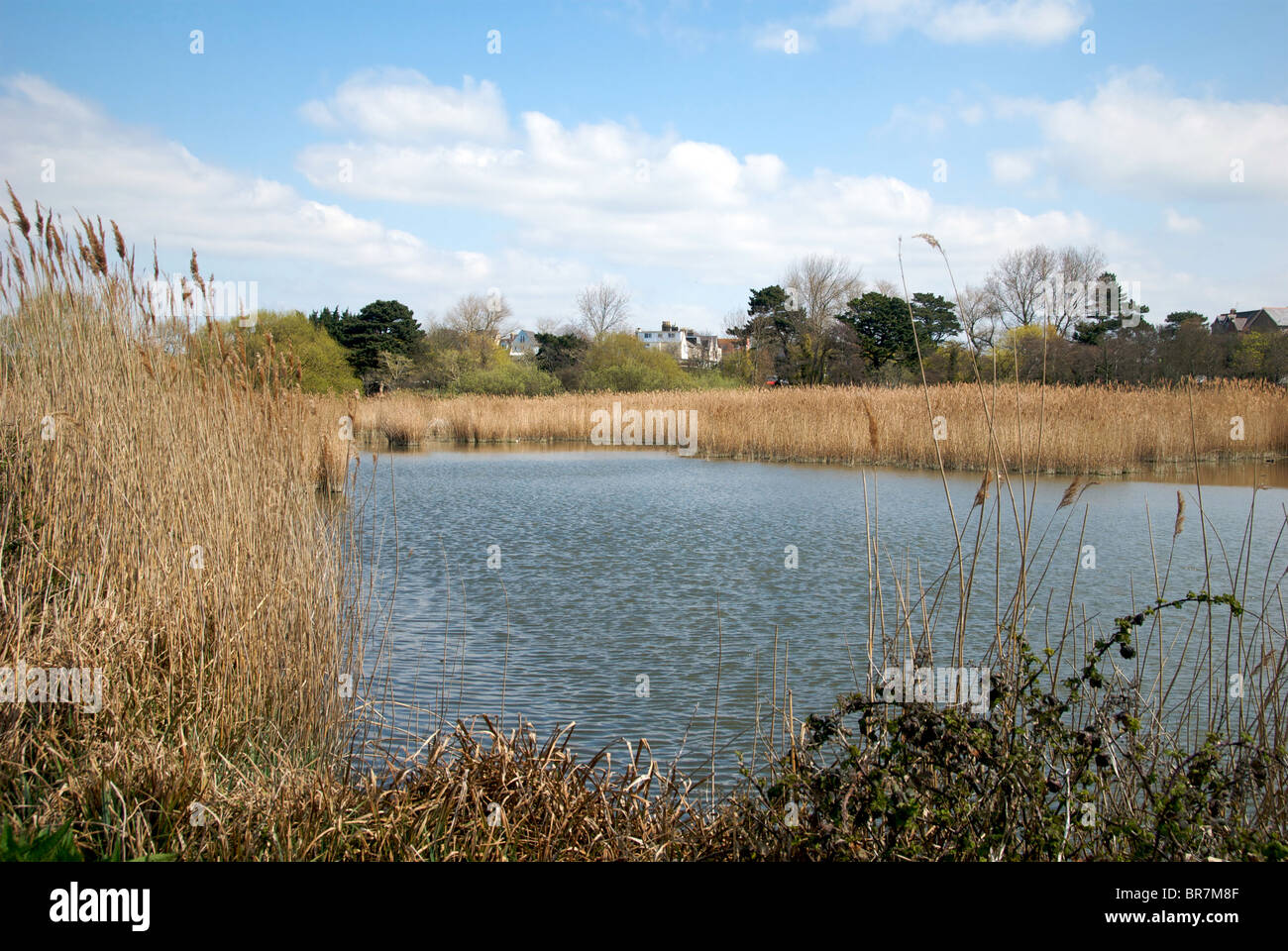 Radipole Lake Weymouth Dorset UK Stock Photo - Alamy