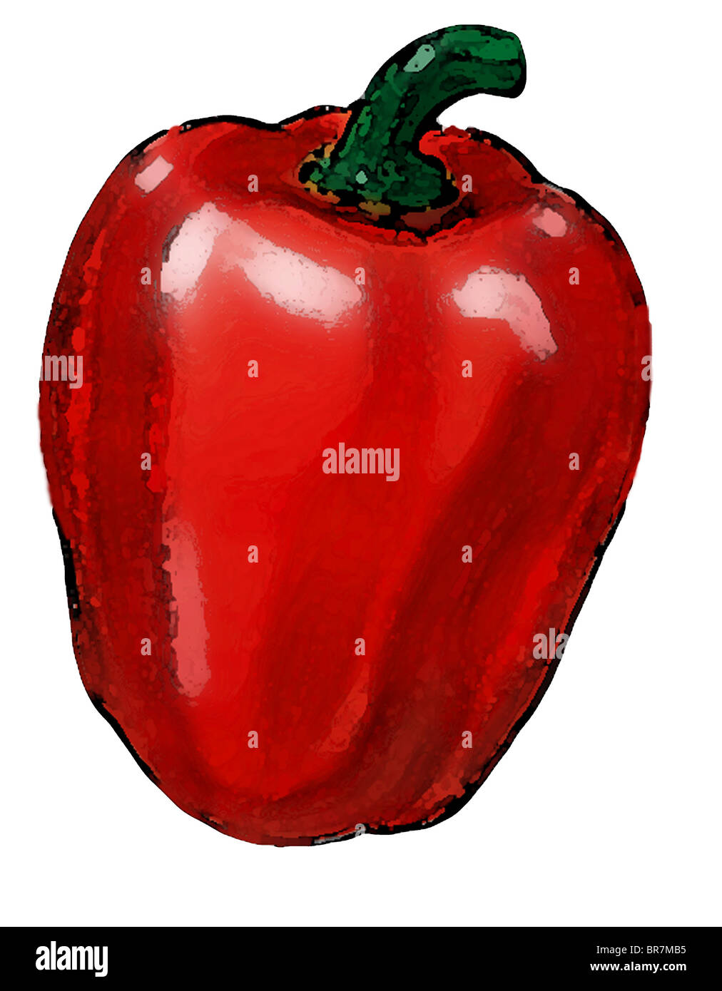 A red pepper drawn over a white background Stock Photo - Alamy