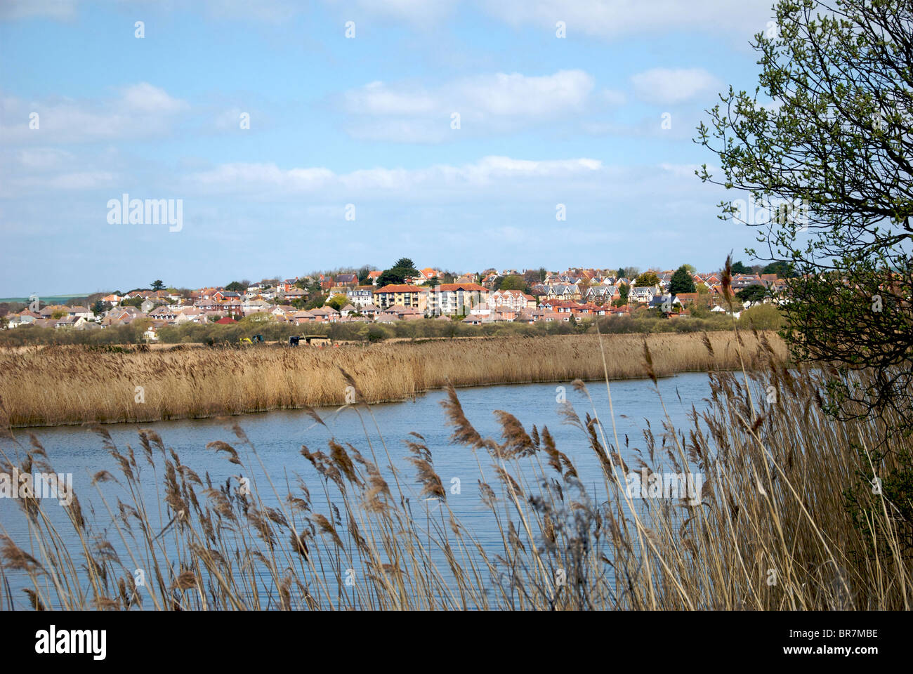 Radipole Lake Weymouth Dorset UK Stock Photo - Alamy