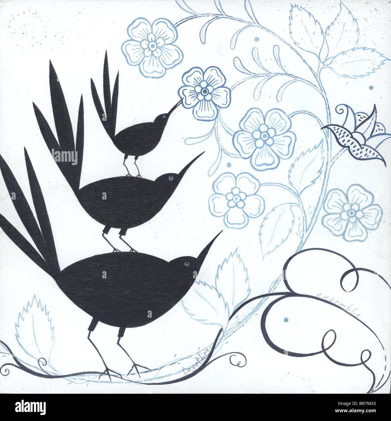 Bird standing on another bird hi-res stock photography and images - Alamy