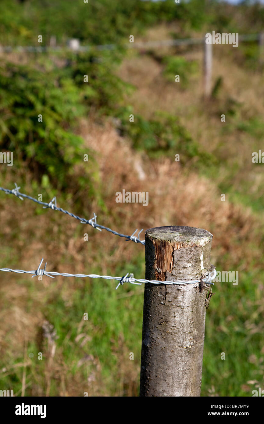 Chestnut Fence Post; Trevean Farm; Cornwall Stock Photo - Alamy