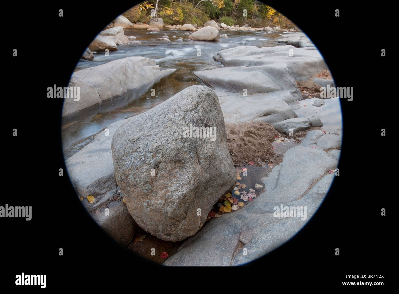 River rocks and trees hi-res stock photography and images - Alamy