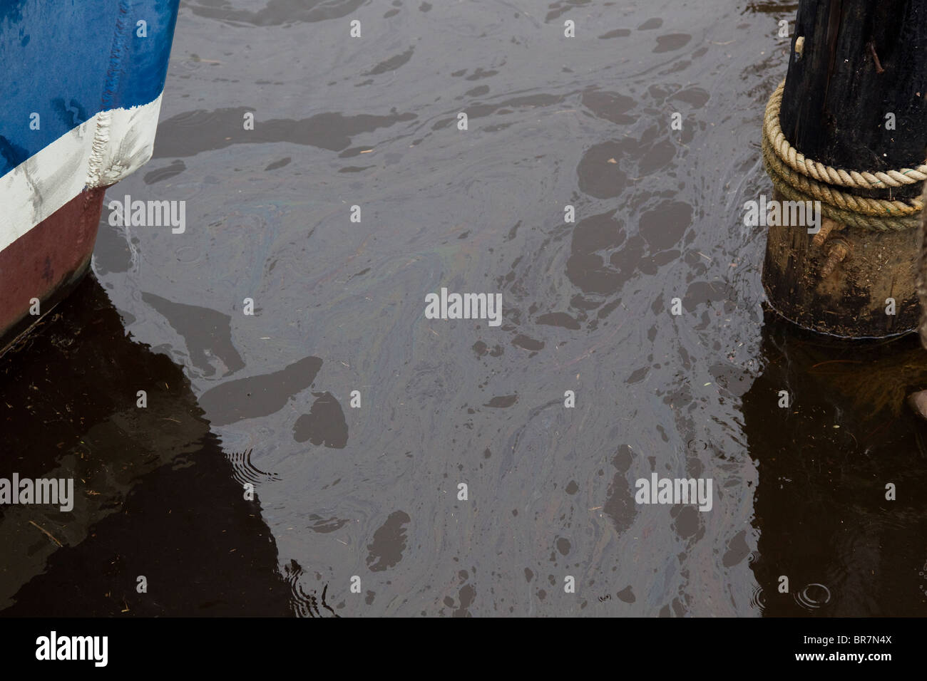 Fuel slick on water surface Stock Photo - Alamy