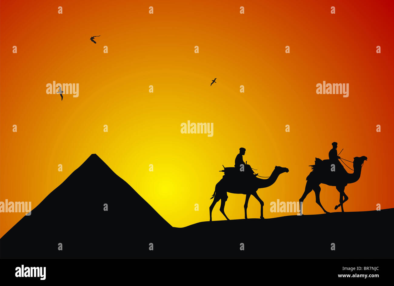 Camel silhouette pyramids hi-res stock photography and images - Alamy