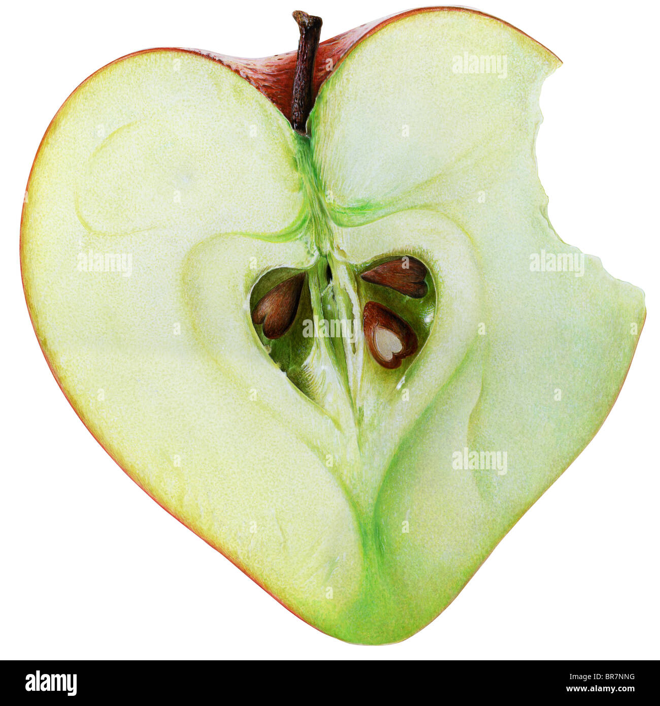 Section missing hi-res stock photography and images - Alamy