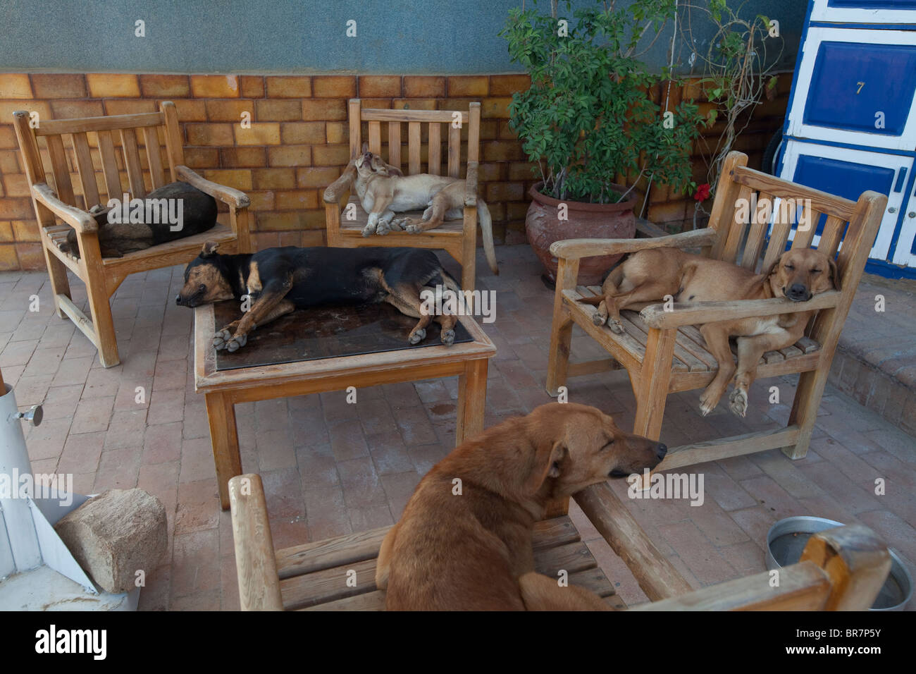 Table five chairs hi-res stock photography and images - Alamy