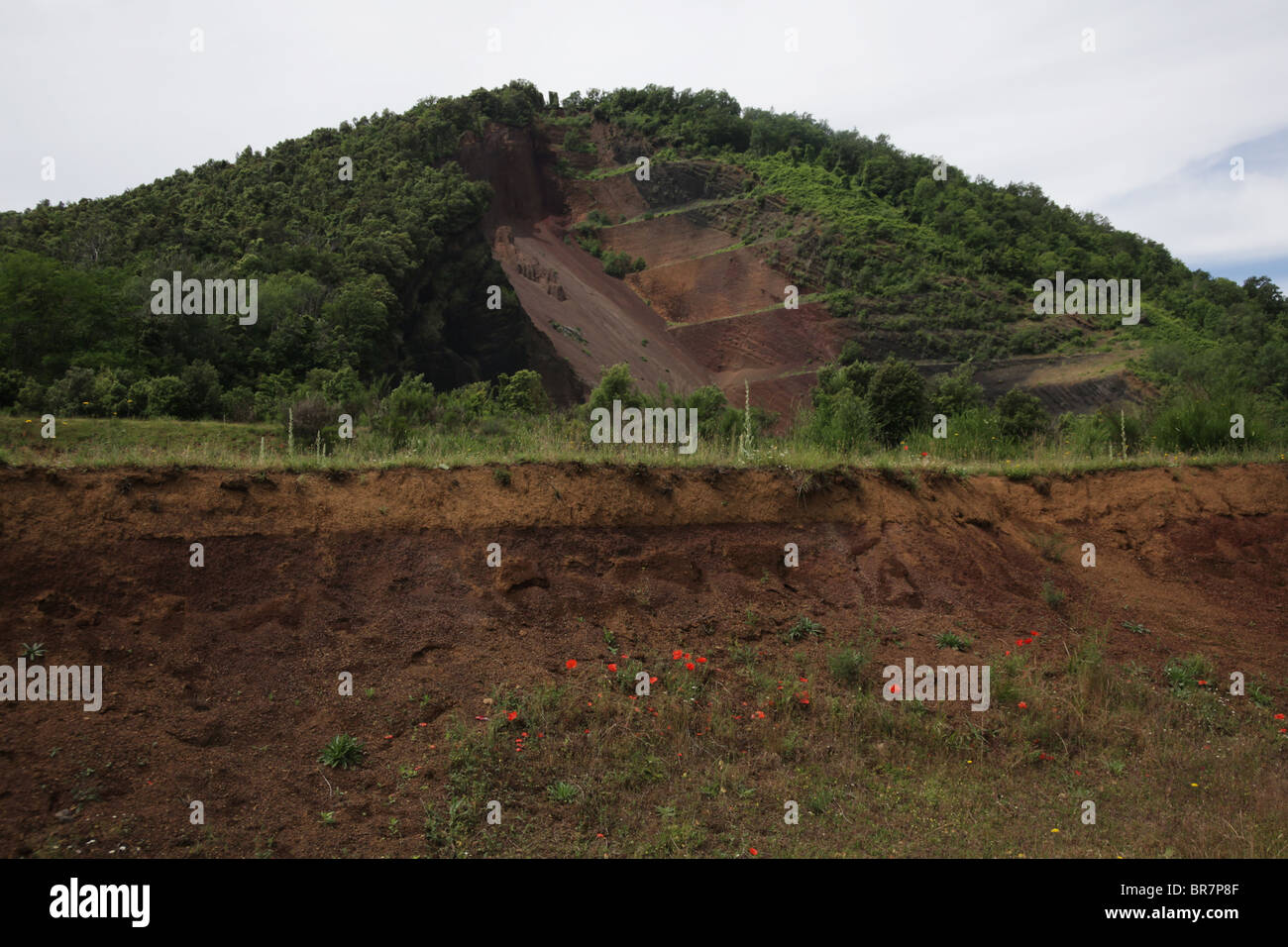 Croscat open volcano Volcanic Zone National Park near Olot in La Alta ...