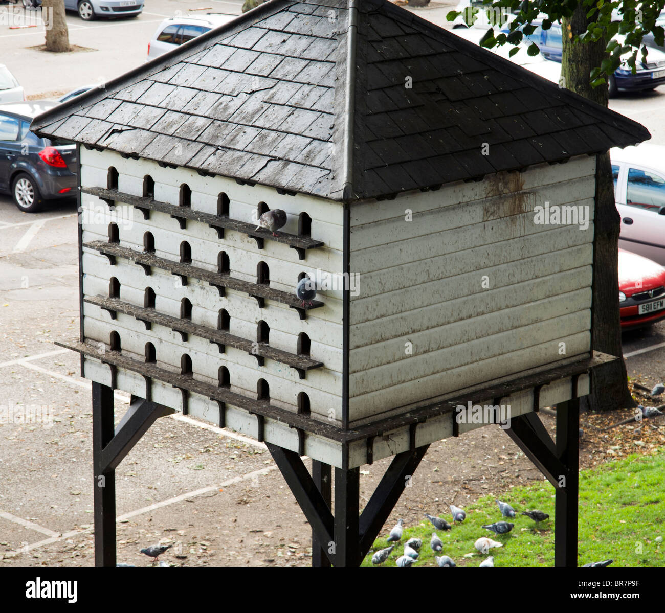 Pigeon coop city hi-res stock photography and images - Alamy