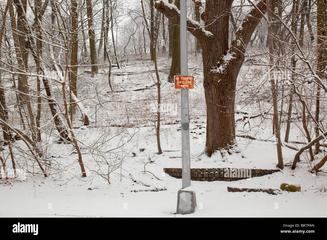 Prospect park walk new york hi-res stock photography and images - Alamy