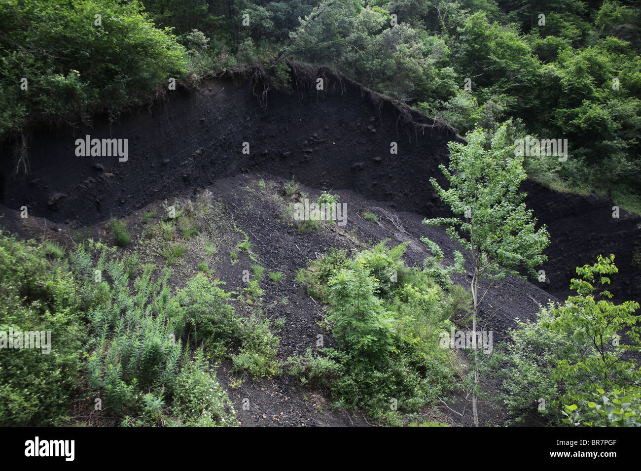 Black ash soil in Volcanic Zone National Park near Olot in La Alta ...