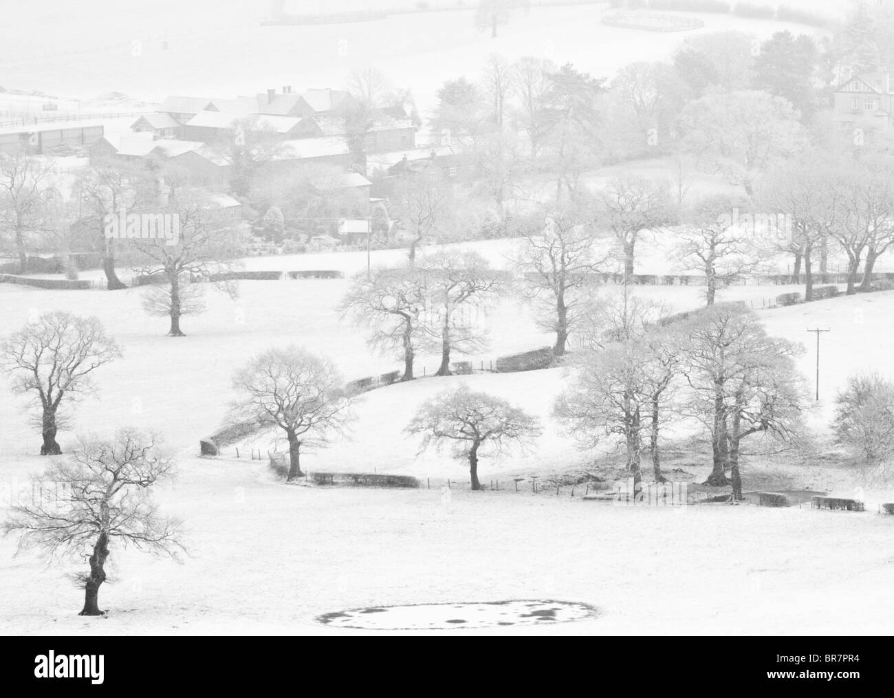 Winter scene showing snow covering a wooded farmland in Cheshire UK ...