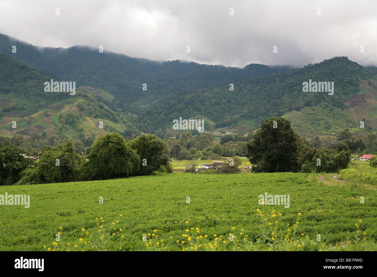 Landscape view of farming highlands at Cerro Punta, Chiriqui, Panama ...