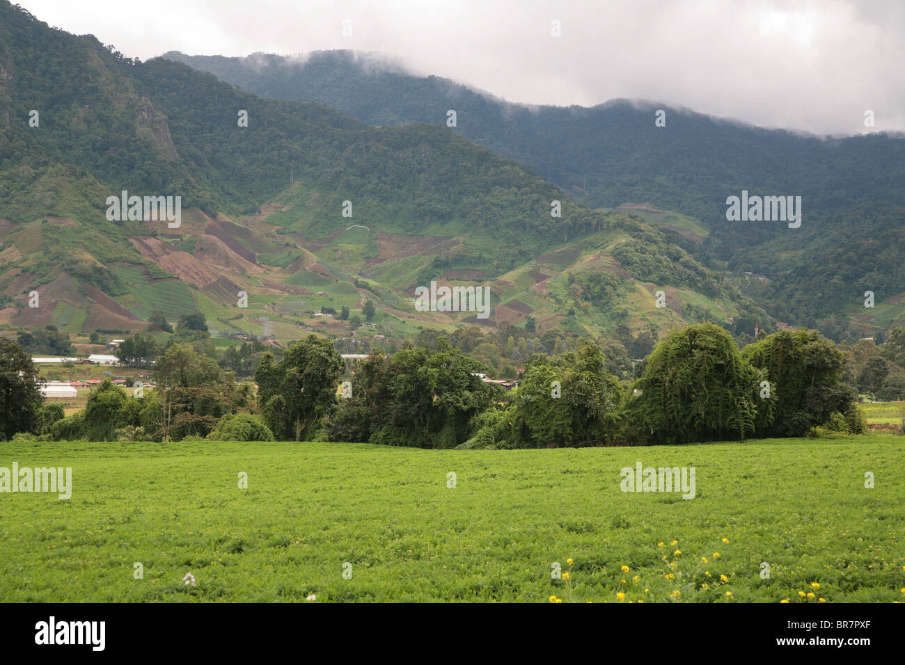 Landscape view of farming highlands at Cerro Punta, Chiriqui, Panama ...