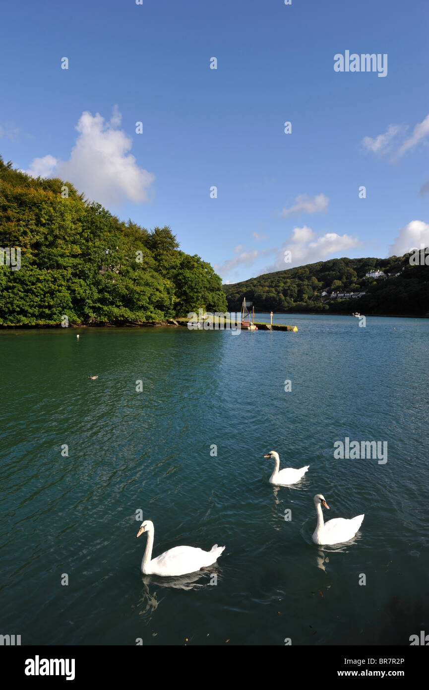 Looe cornwall hi-res stock photography and images - Alamy