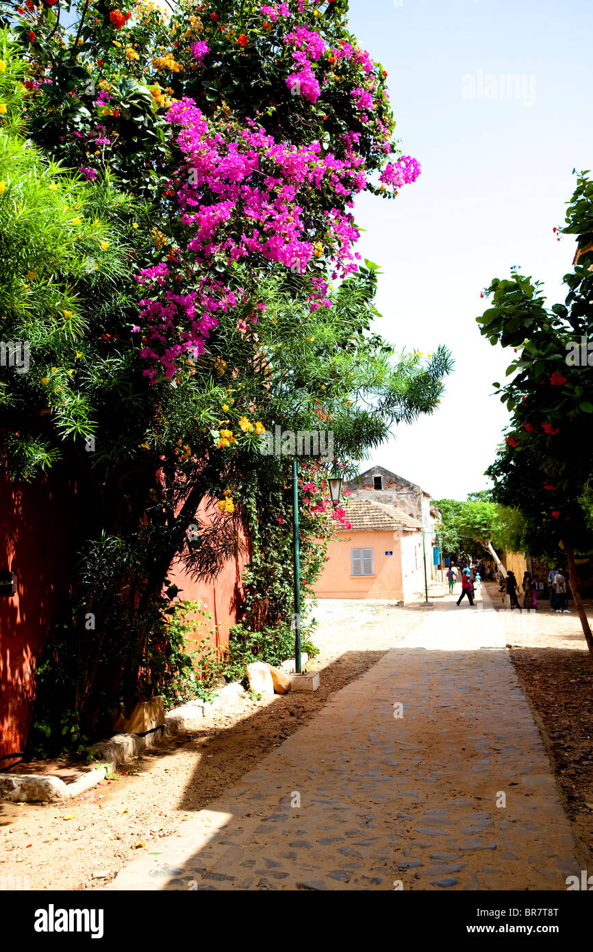 Goree island museum hi-res stock photography and images - Alamy