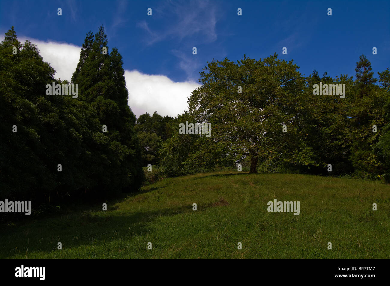 Azorean sky hi-res stock photography and images - Alamy