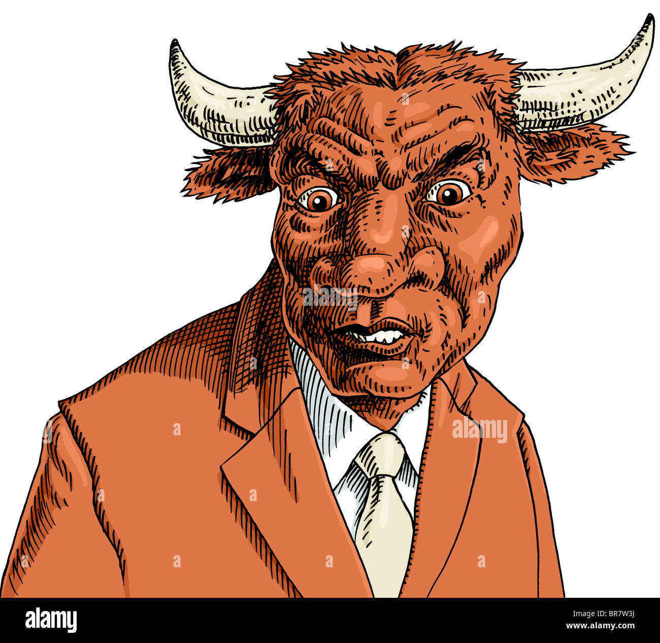 Bulls head hi-res stock photography and images - Alamy