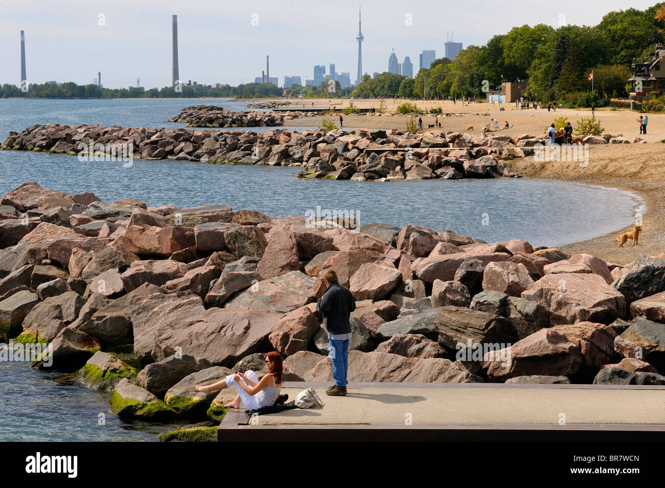 Coastline view of Toronto Beaches Park on Lake Ontario with dogs and ...