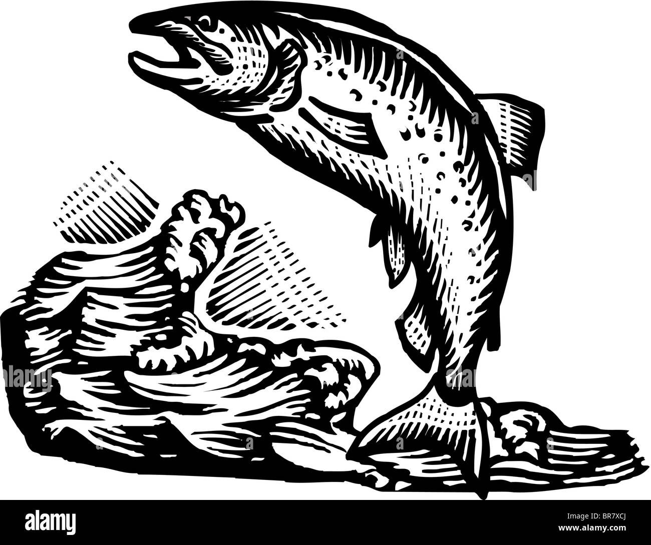 Seafood white fish Black and White Stock Photos & Images - Alamy