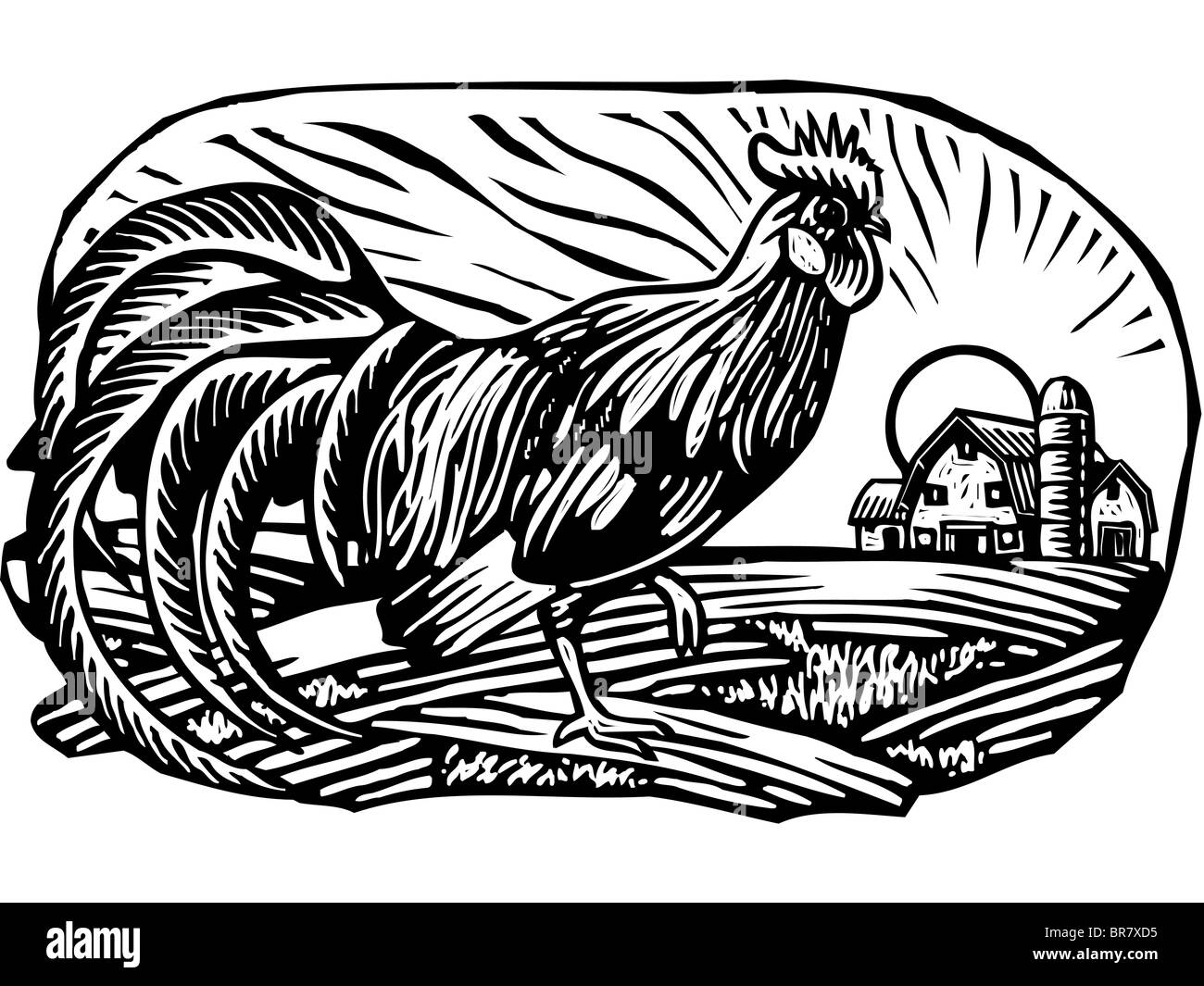 Black barn hi-res stock photography and images - Alamy