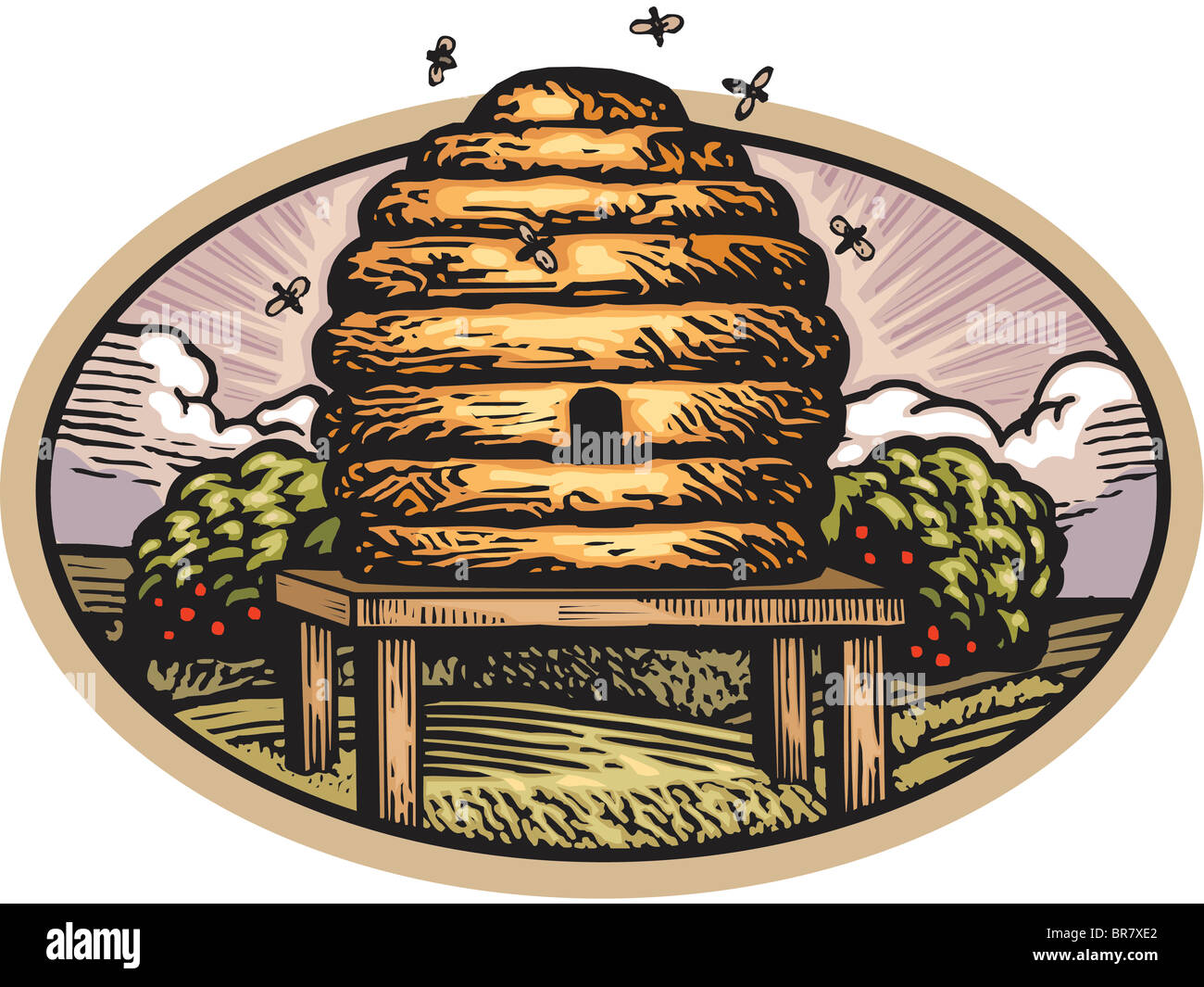 Vintage Beehive Drawing