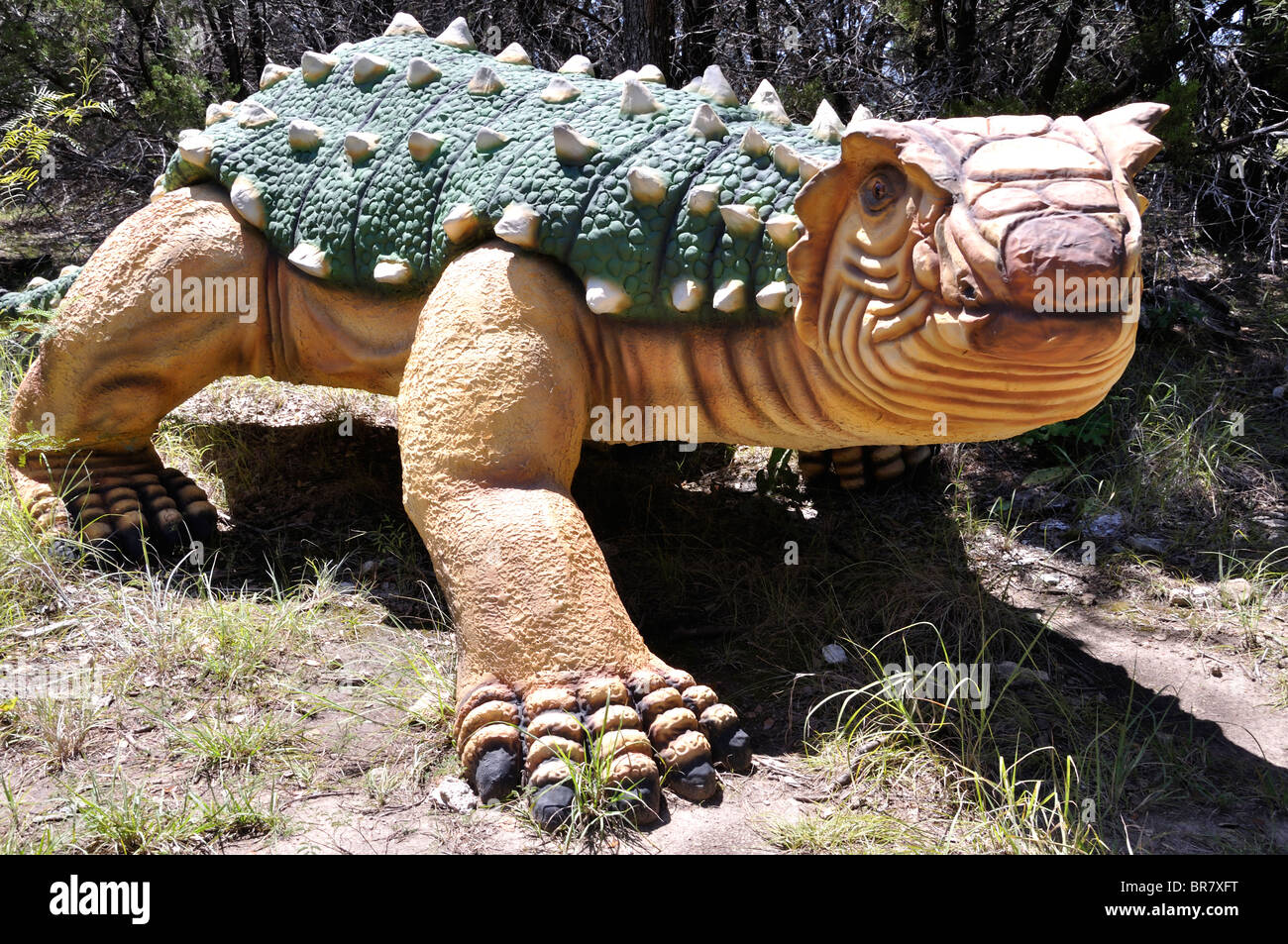 Silvisaurus, Dinosaur World, Glen Rose, Texas, USA Stock Photo - Alamy