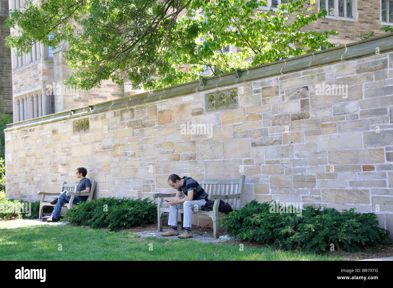 Berkeley college yale university hi-res stock photography and images ...