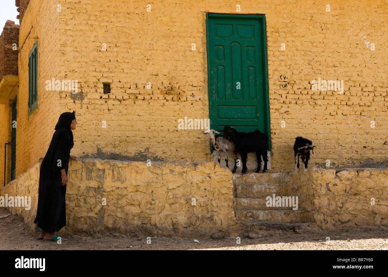 Nubian woman and goats on Elephantine Island in Aswan Egypt Stock Photo ...