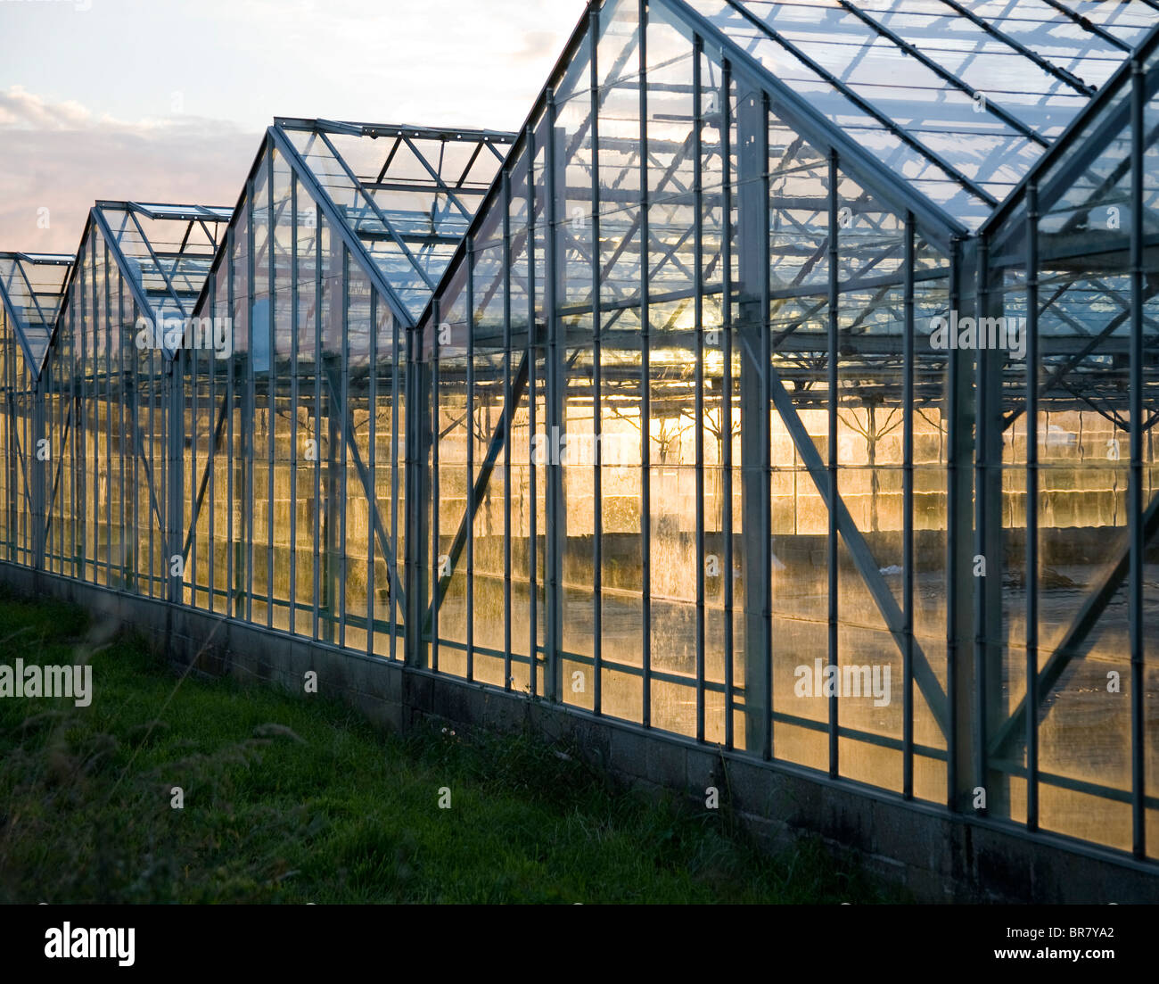 Steel-framed Glasshouse or Greenhouses at Market Garden, Agriculture Farms and Farm Equipment ...