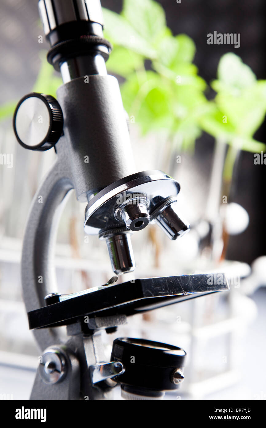 Experimenting with flora in laboratory Stock Photo - Alamy